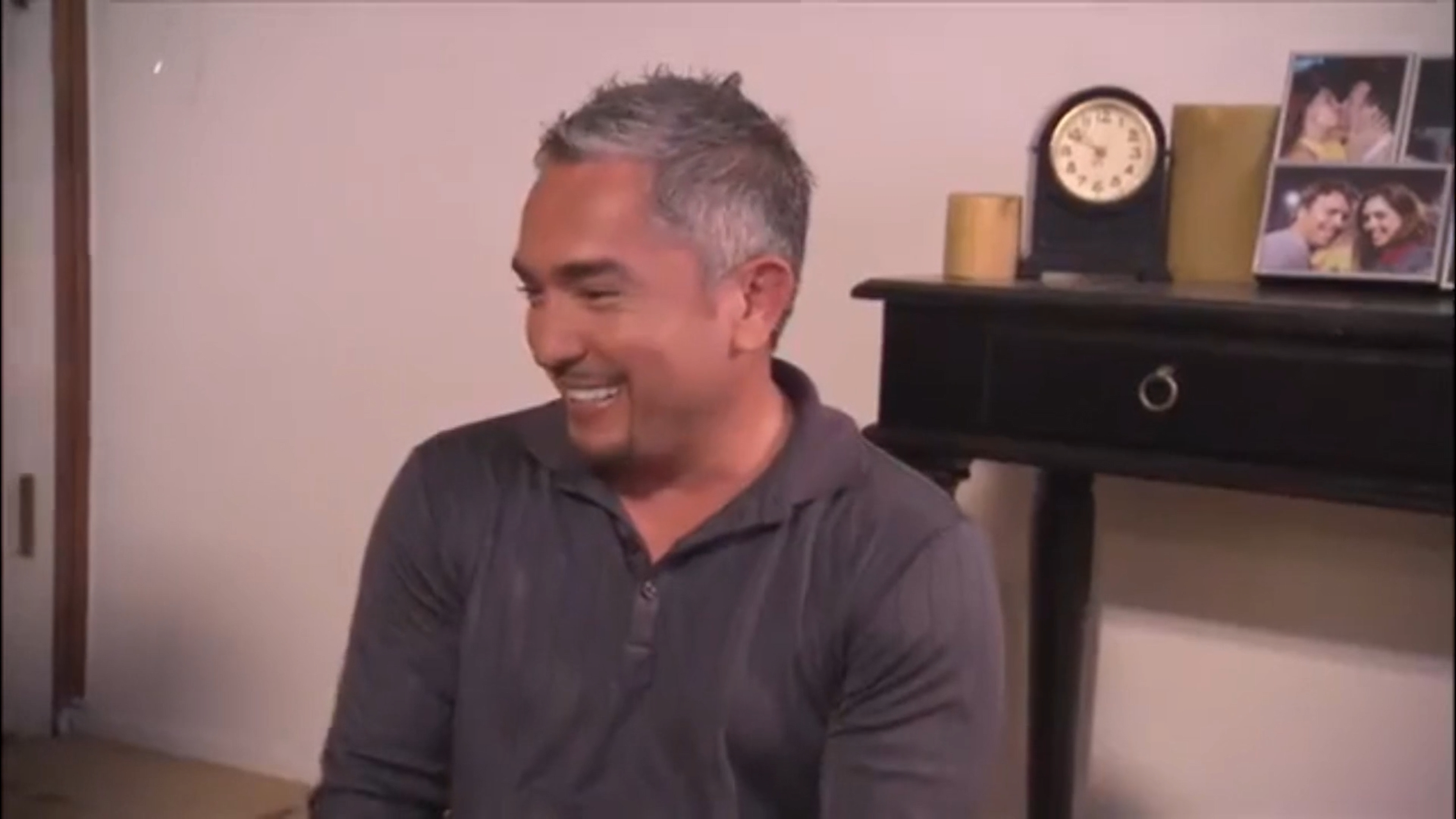 How did Cesar transform this family's teacup poodle? | Dog Whisperer ...