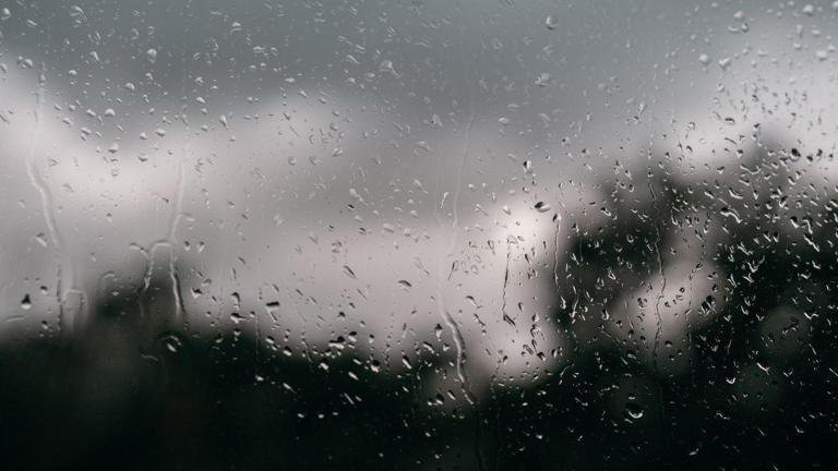 Mumbai weather: IMD issues yellow alert for city, Thane; light rain likely