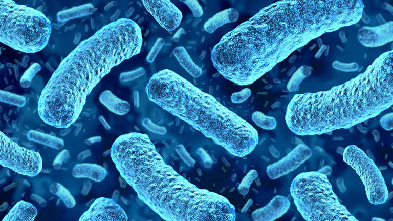 Stain remover recalled for bacteria risk: What to know