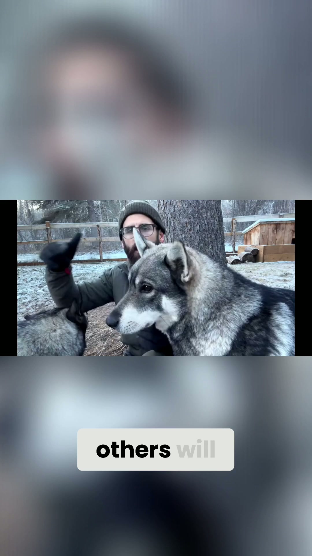 I spent 30 days hiking with bear dogs and learned this