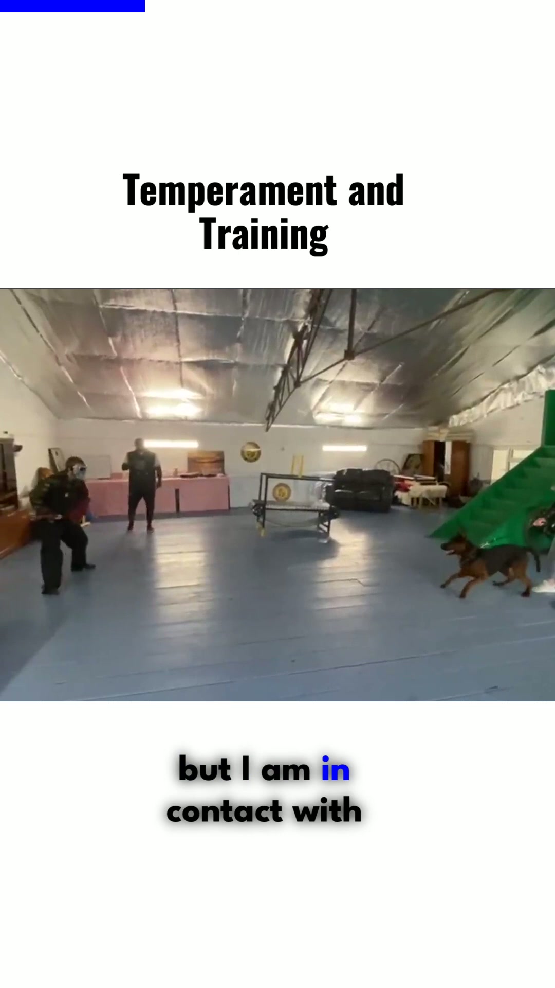 TEMPERAMENT AND TRAINING CHINESE RED DOG