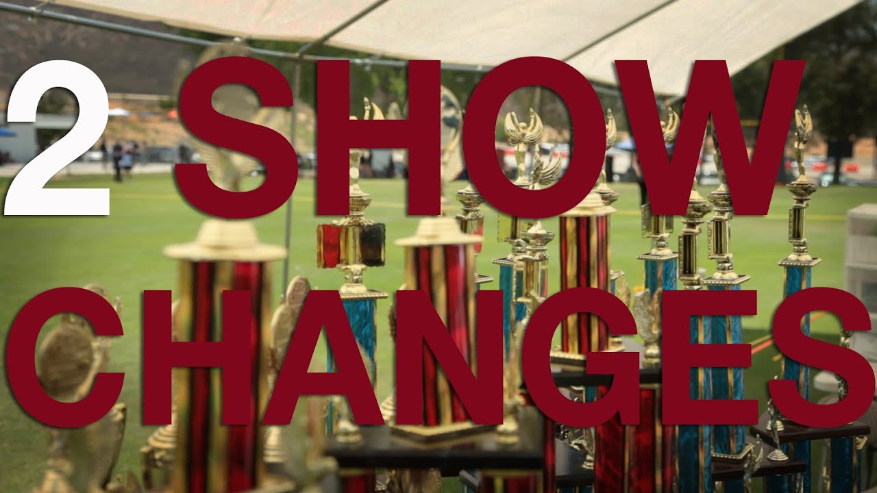 Two changes I'd make to American Bully shows