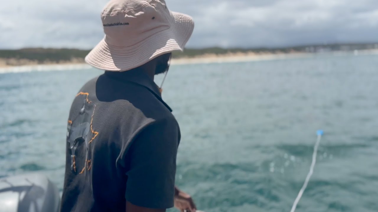 Mossel Bay great white shark update 10/02/2024