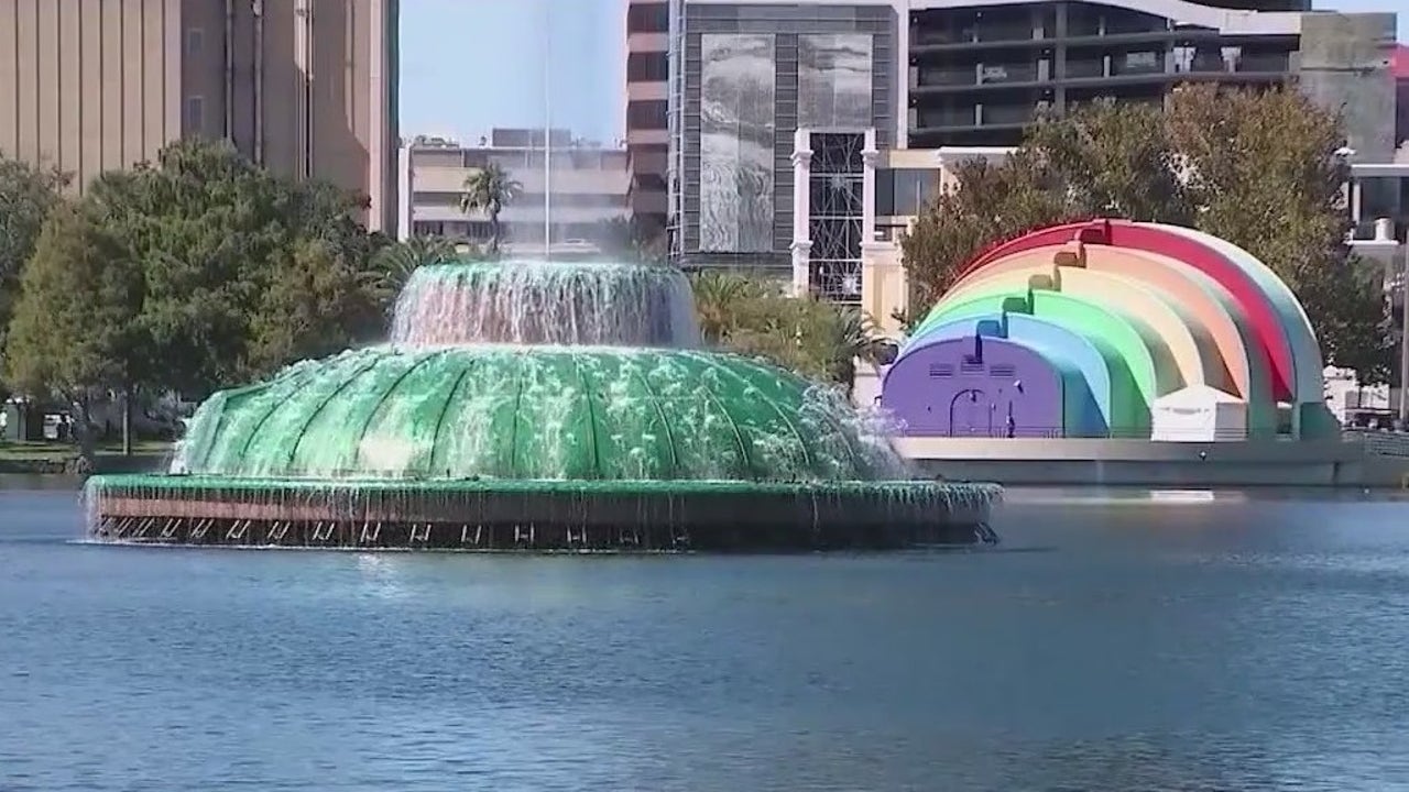 Orlando swan advocates raise concerns over Lake Eola conditions after ...