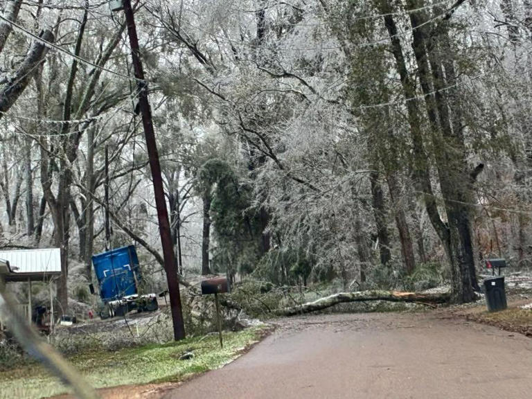 Power outage, road hazards plague Adams County post-storm