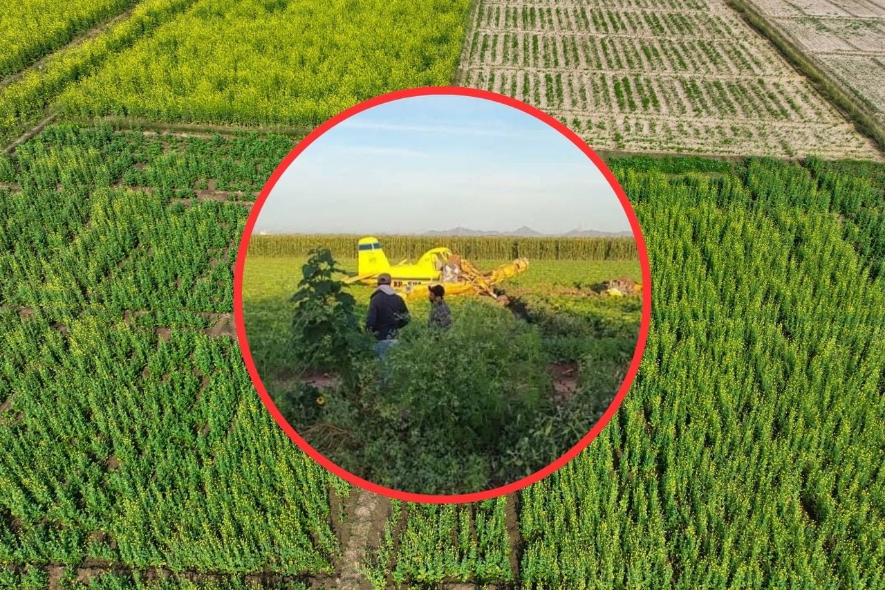 Jornaleros rescatan a piloto tras accidente de avioneta fumigadora en ...