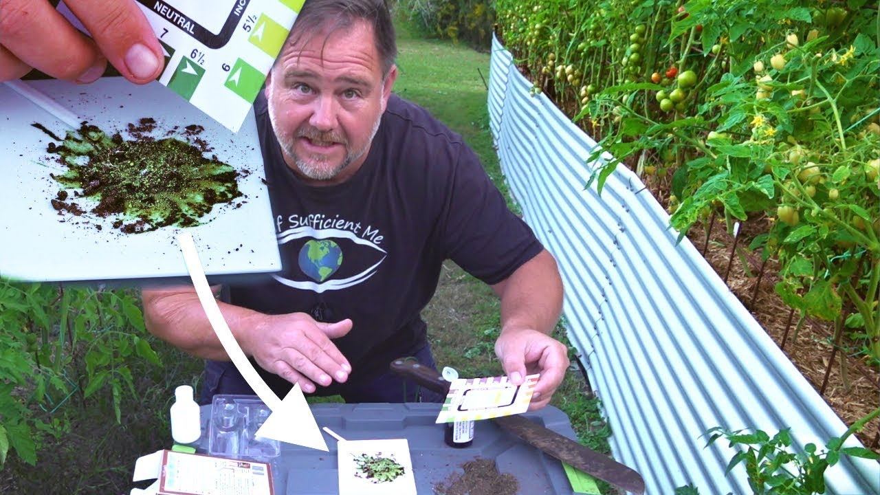 What's the perfect tomato pH soil level? We test 3 garden beds