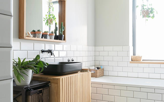 3 plantas para ter no banheiro se você tem alergias ou problemas ...