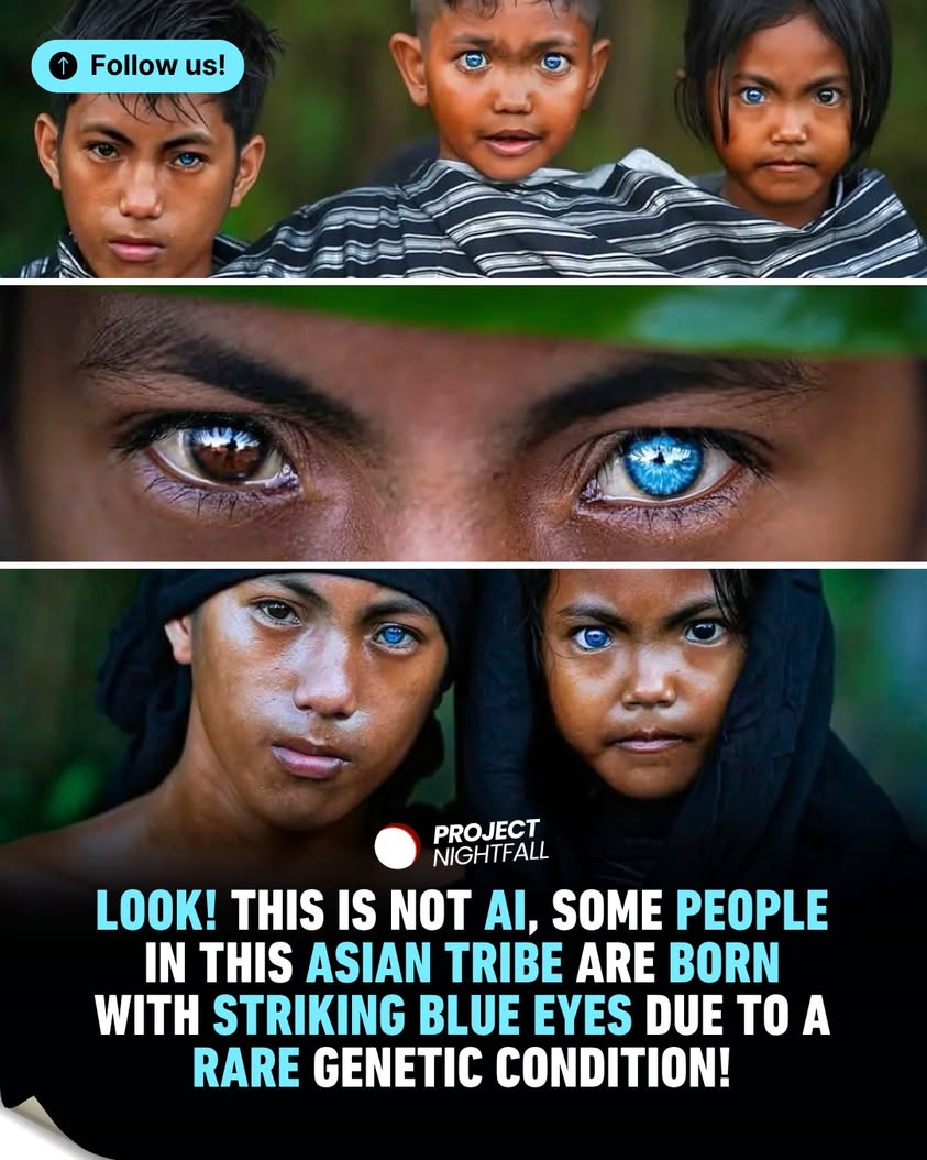 Some members of the Buton tribe in Southeast Sulawesi, Indonesia are ...