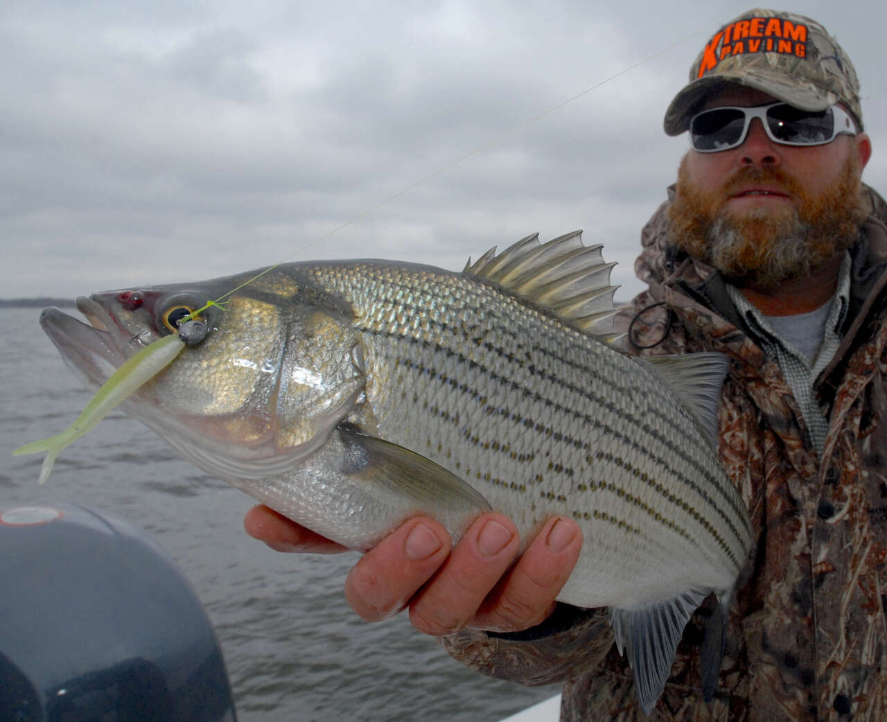 Winter's mixed bag: Get your hooks into reliable cold water fishing