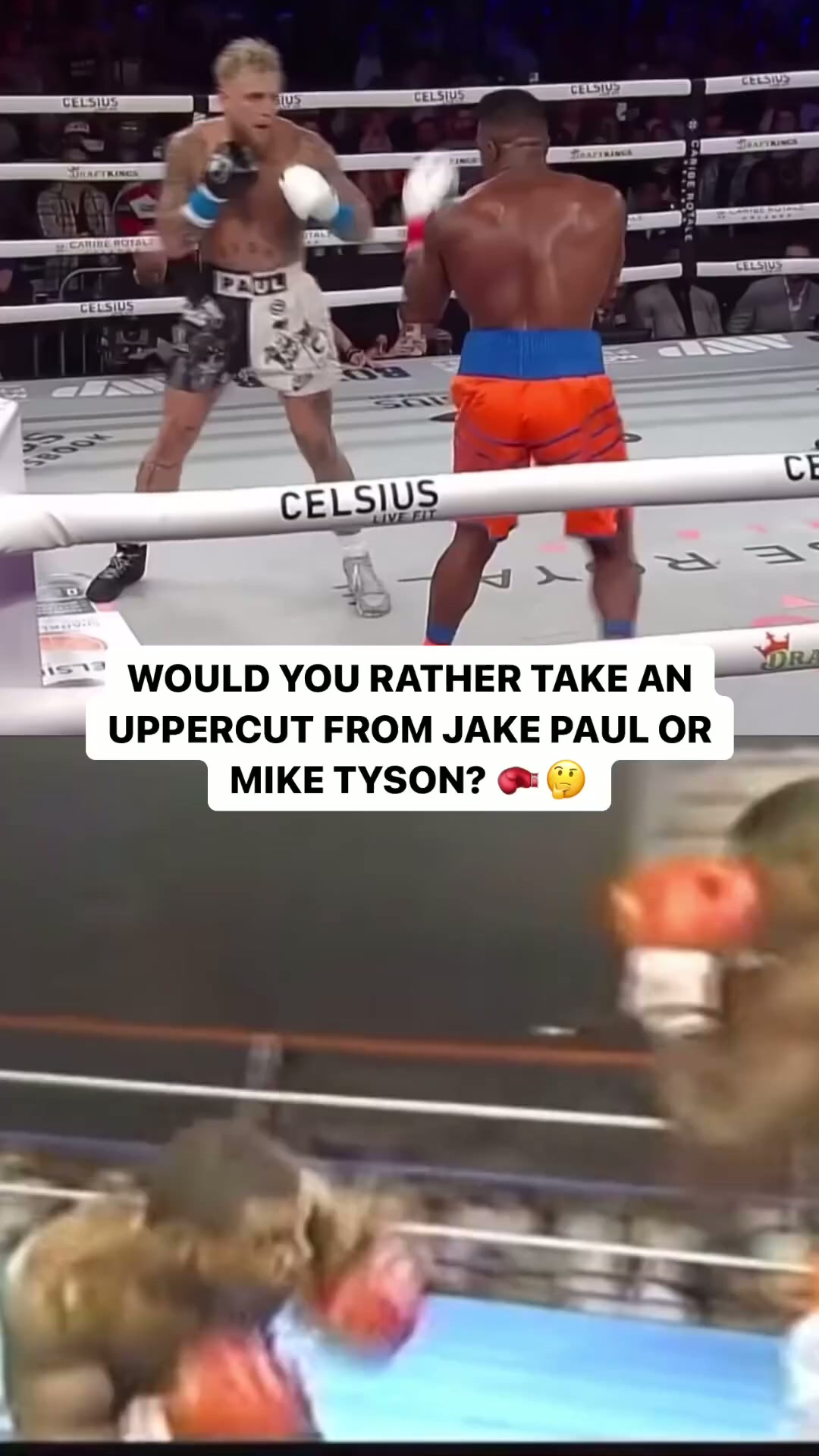 Would you rather take an uppercut from Jake Paul or Mike Tyson? 🥊🤔