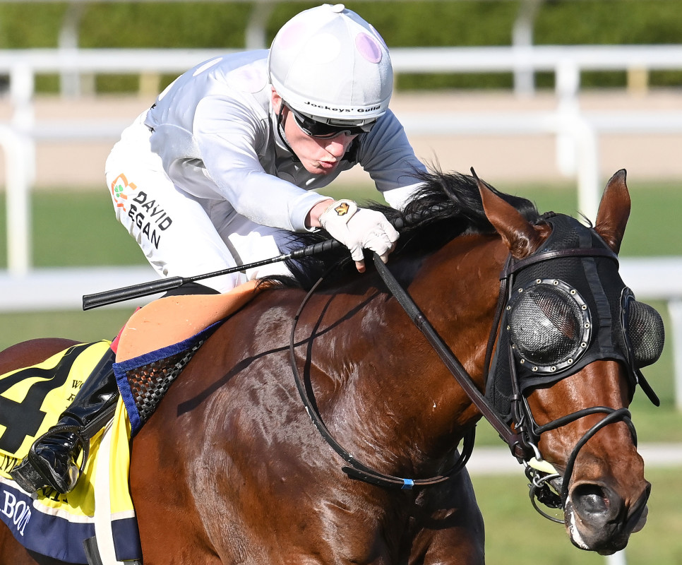 'Forrest Gump' and his pacifier: Special equipment helped layabout ...