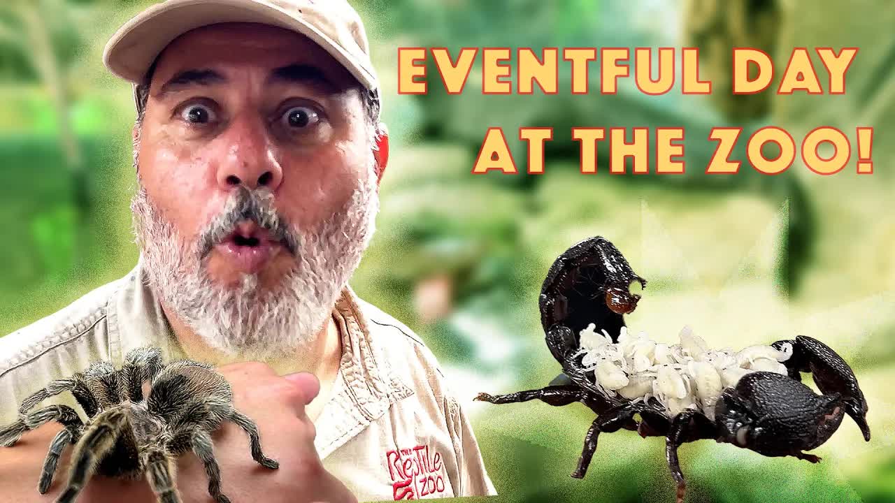 Night time swamp adventure! 😳