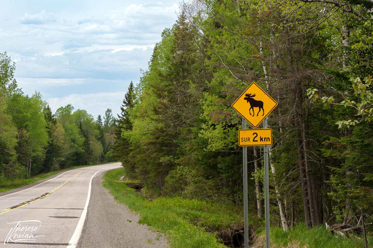 Beyond Quebec City: A scenic road trip through Eastern Townships ...