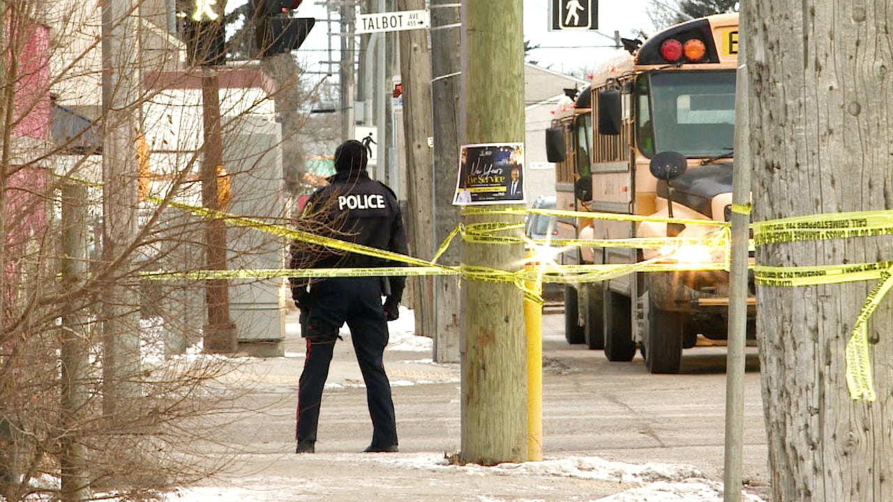 Man pleads not guilty in deadly stabbing of Ukrainian newcomer