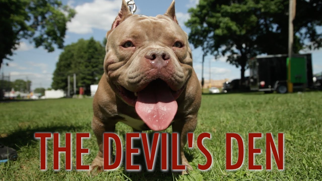 Devil's Den old school new school