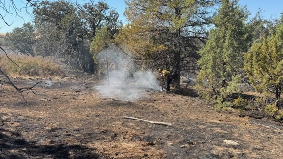 Cal Fire urges creating defensible space as winter dryness persists in ...