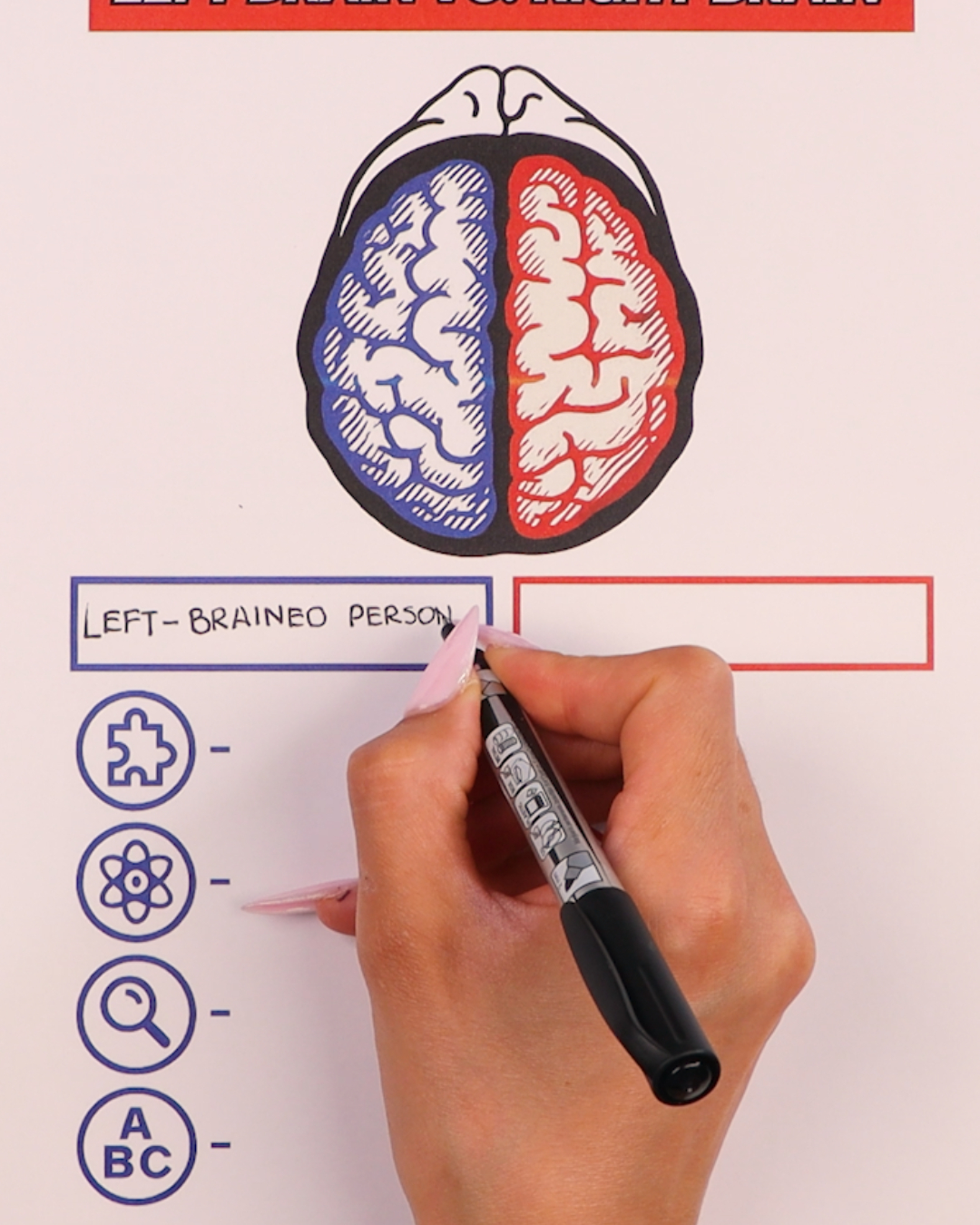 The brain's creative and logical sides explained🧠