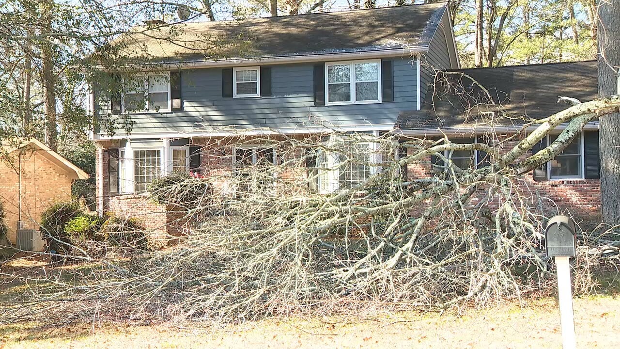 Tree cleanup begins after ice storm as residents count their blessings ...