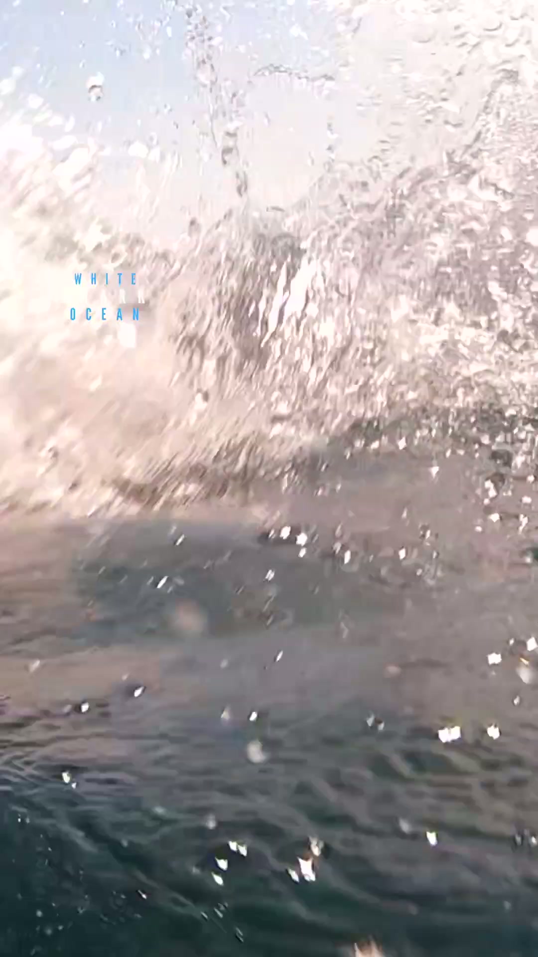 Big Great White Shark Comes Out Of The Water Breaching