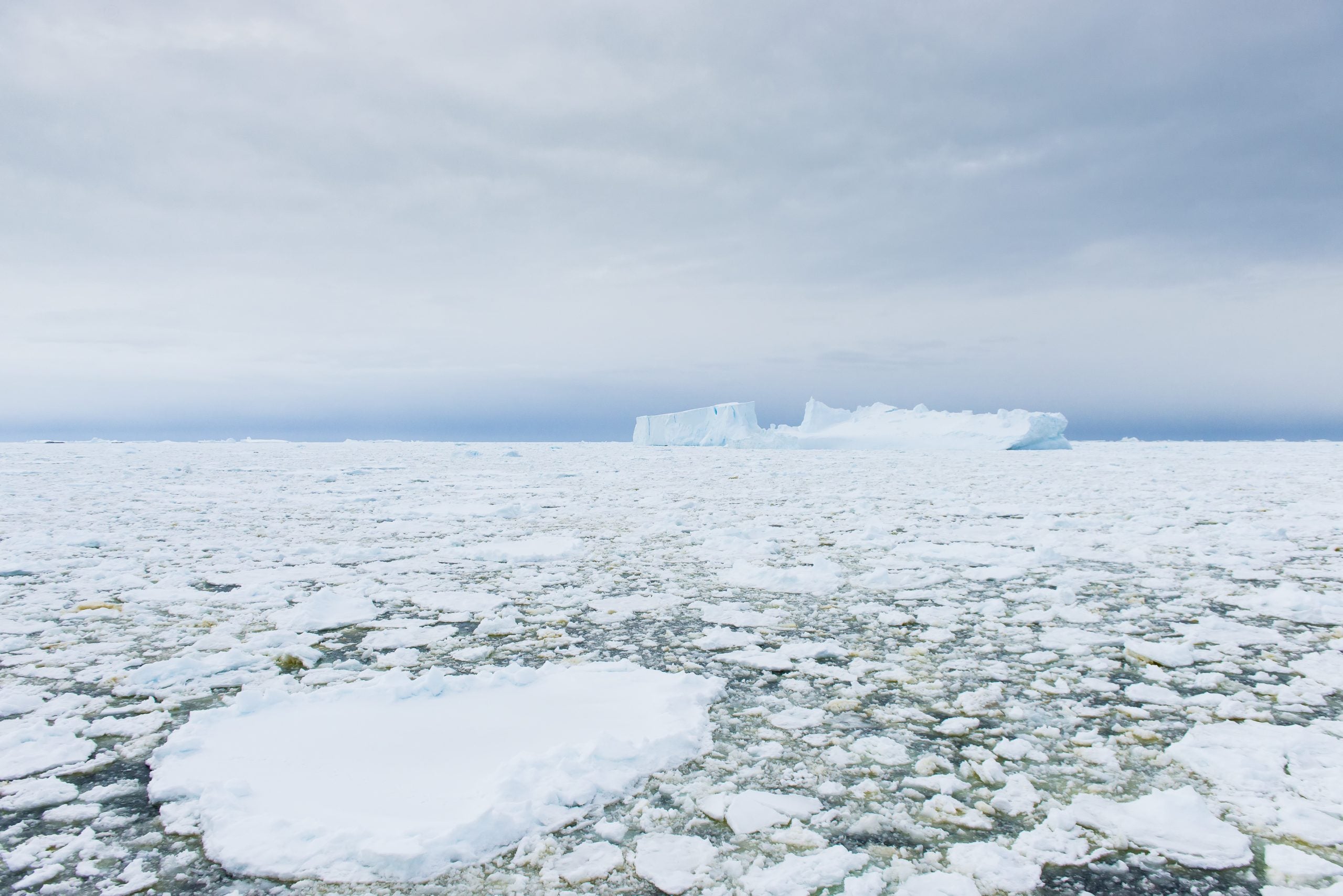 Watch: Cruise ship trapped in packed ice rescued by US Coast Guard in ...