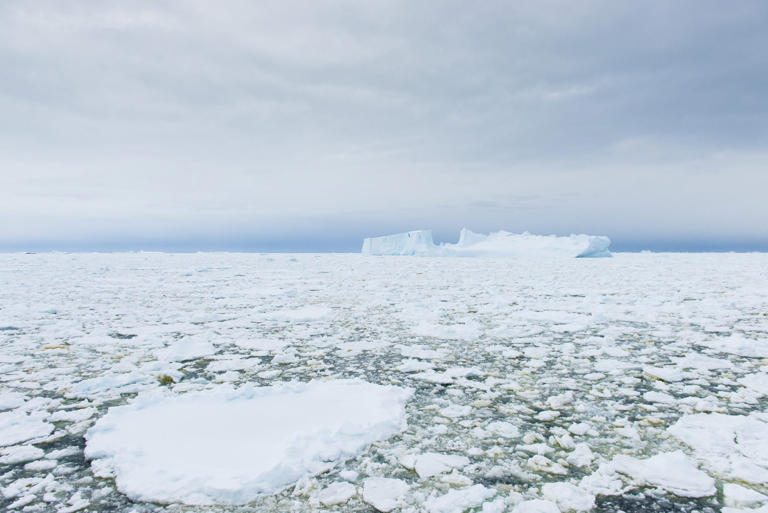 Watch: Cruise ship trapped in packed ice rescued by US Coast Guard in ...