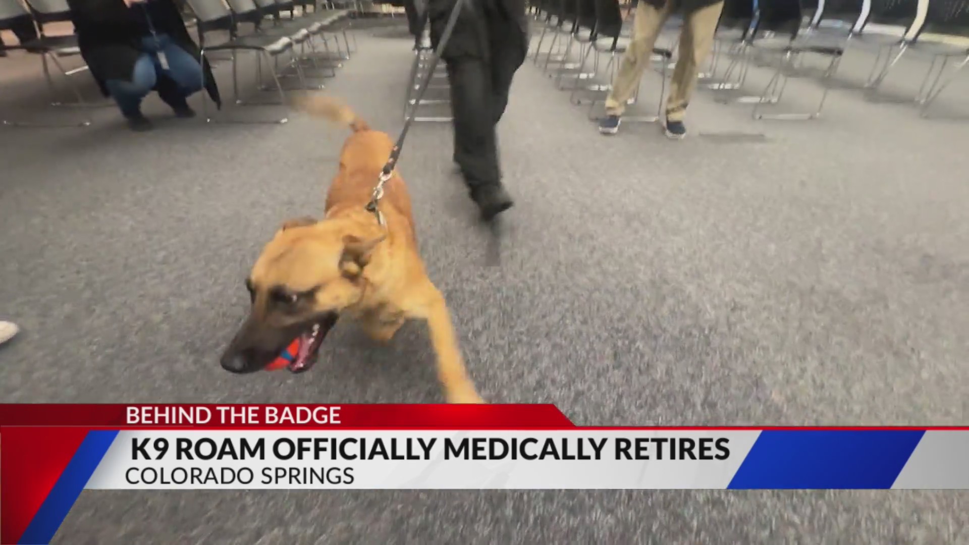 Colorado Springs Police K9 injured in line of duty medically retires
