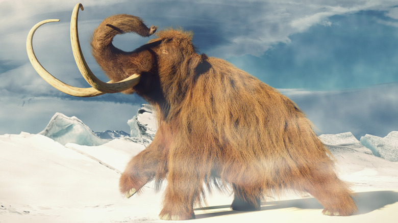 This company plans to bring the woolly mammoth back from extinction ...