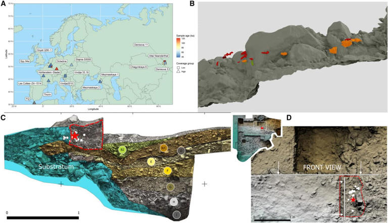 New Neanderthal population found to have lived in total isolation for ...