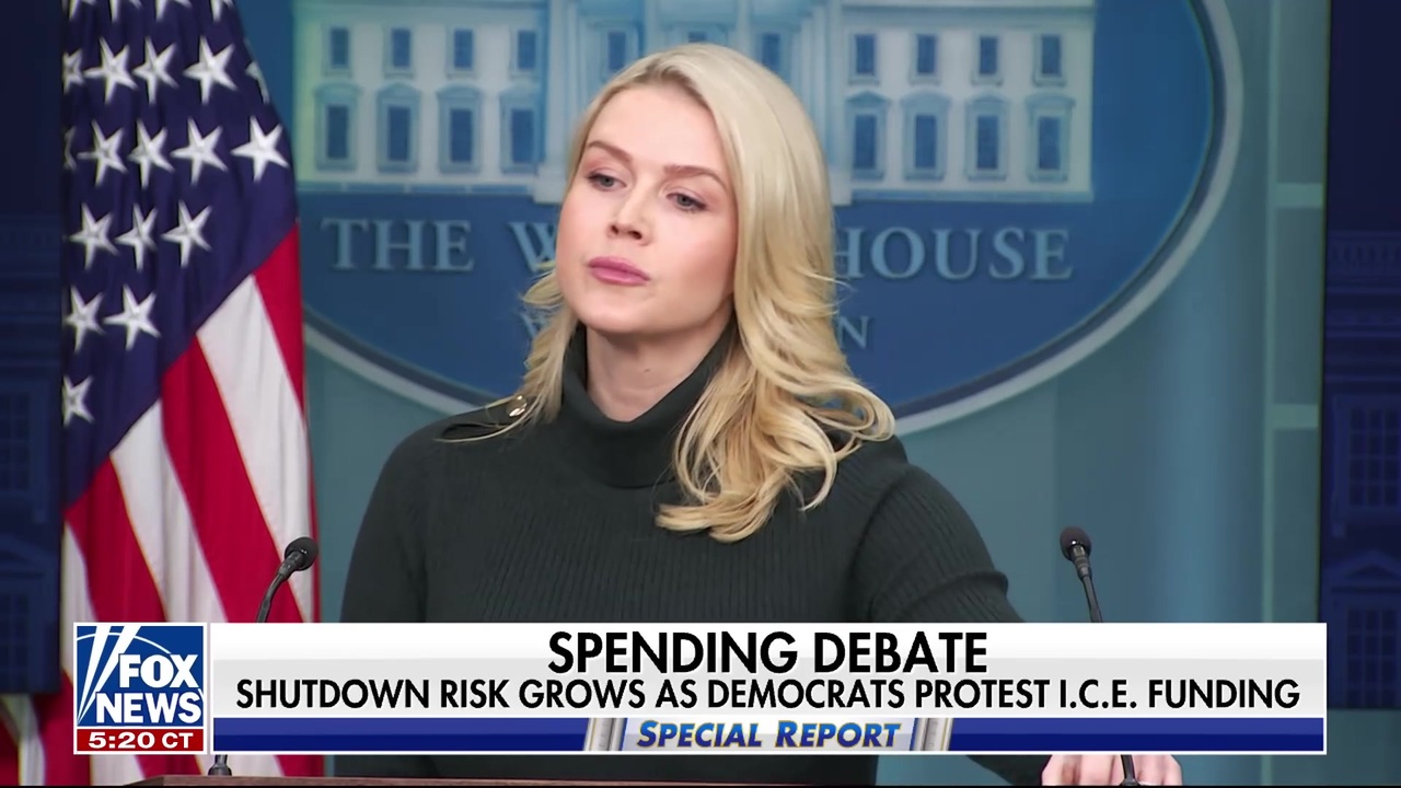 ‘Extravagant’ statements from DHS about Alex Pretti death ‘didn’t play ...