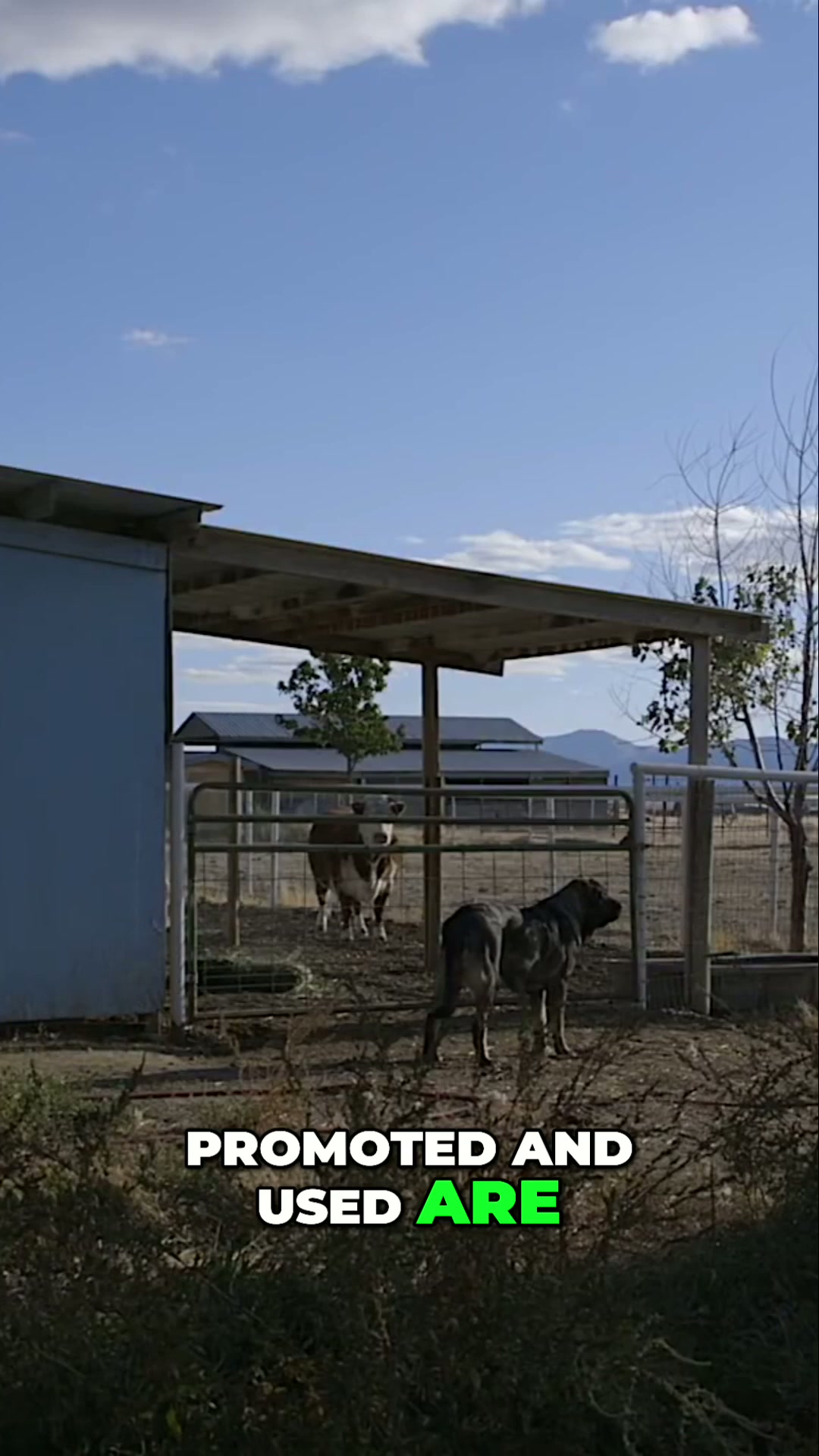 Top 3 outdated methods holding you back from LSGD success!