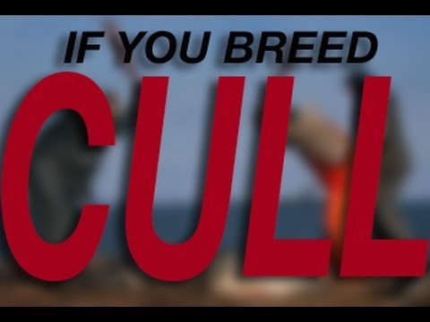 The necessity of culling