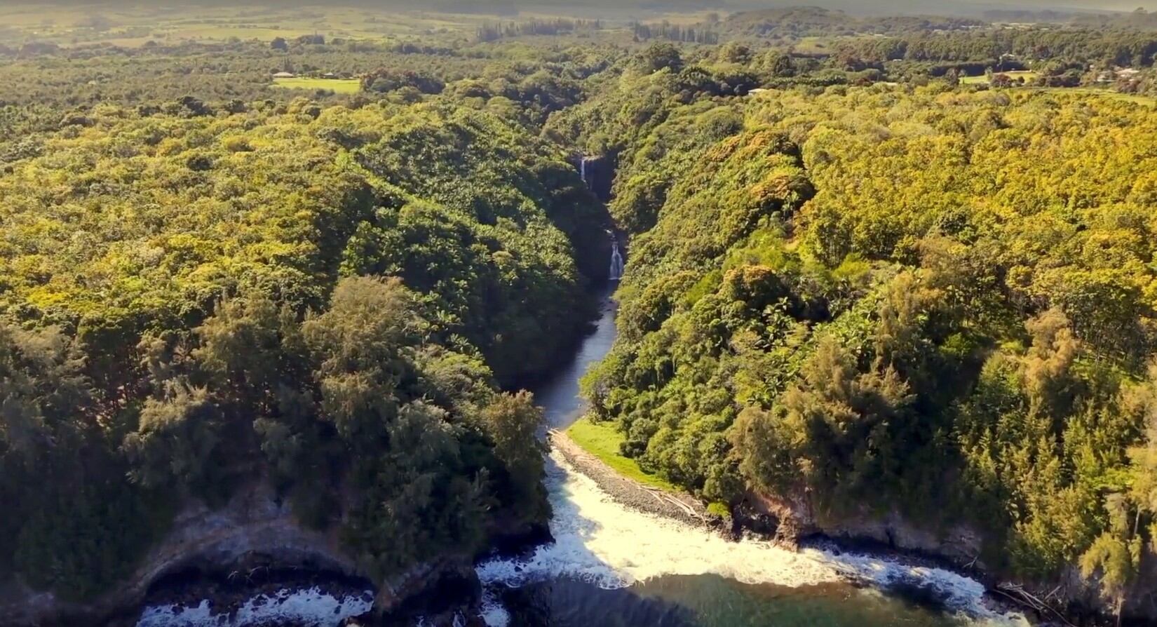 Hawaii County preserves 81-acre site in Hilo