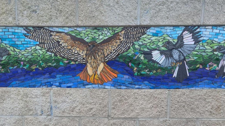 California's largest mosaic art project celebrates Feather River