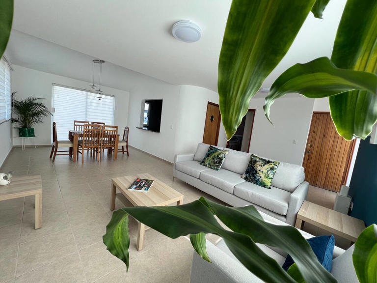 The 10 best Airbnbs in Mexico City near Estadio Azteca for the World ...