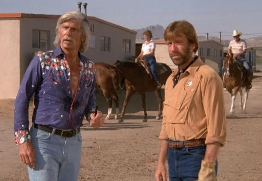 The cast of "Walker, Texas Ranger": 20 years later