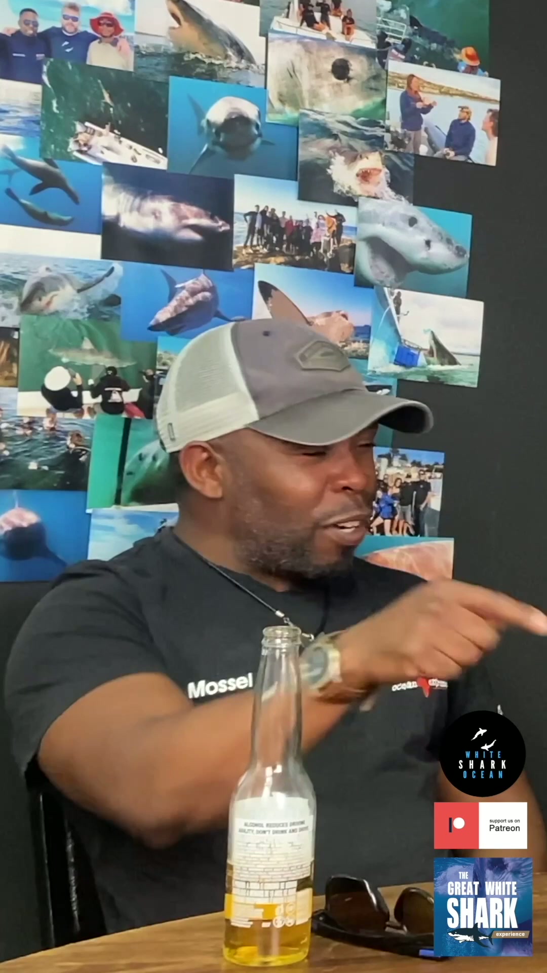 The Great White Shark Experience podcast, episode 8: Allen watching man ...