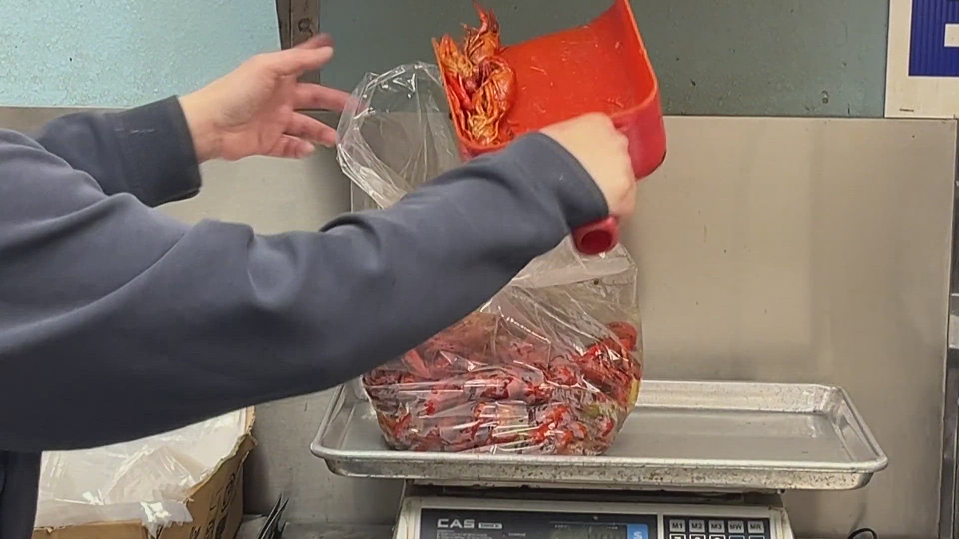 Colder weather impacting crawfish season