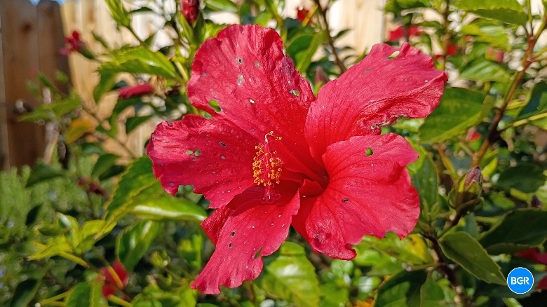 Motorola Moto G Power (2026) review: Rinse and repeat