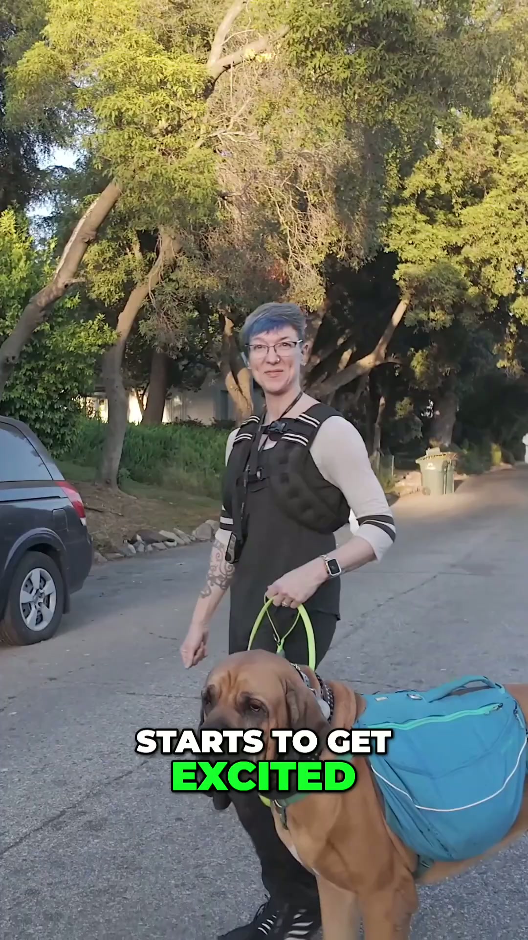 Daily dog walking routine: Bob's exciting adventures