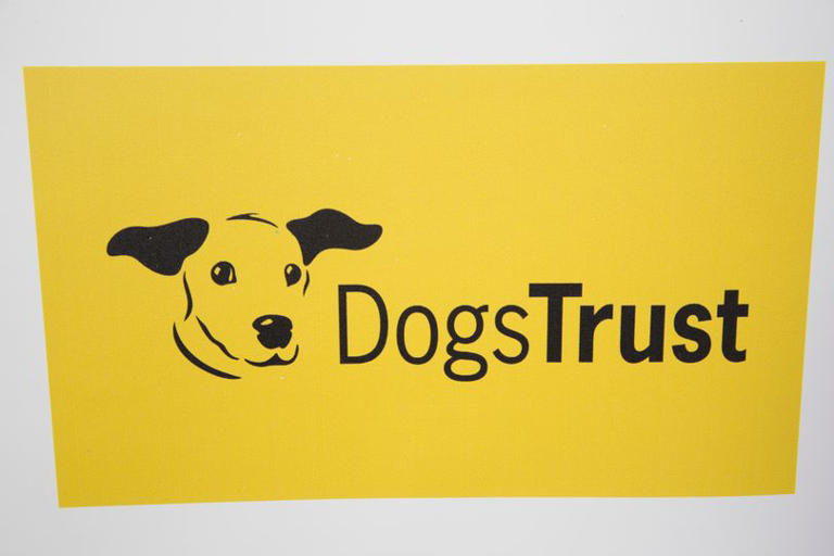 Dogs Trust wants owners to know 'red flags' after family's heartbreak