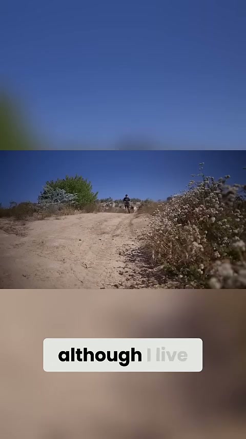 Mind-blowing mastiff breeding secrets I've learned over 24 years!