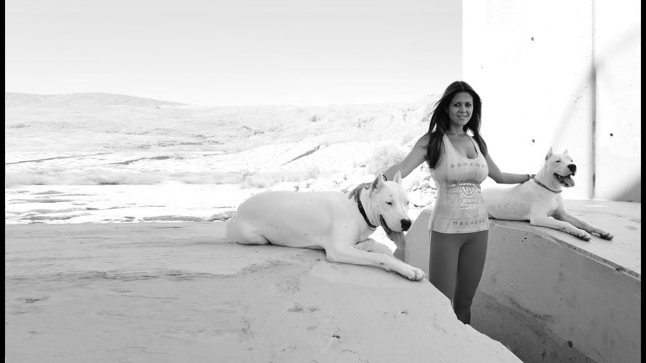 Dogo Argentino dogs the ultimate hunting and house dog