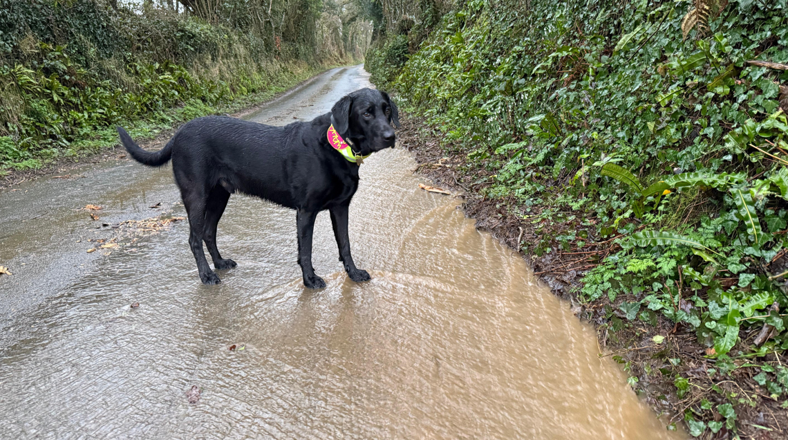 Storm Chandra brings flooding and road closures with warnings across UK