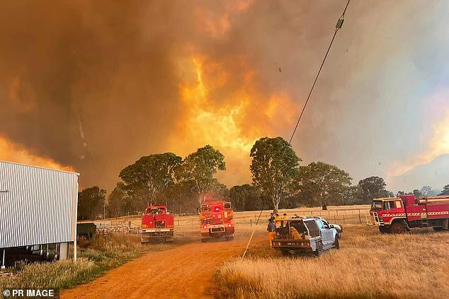 Leave now! New evacuation warnings issued as homes are destroyed in ...