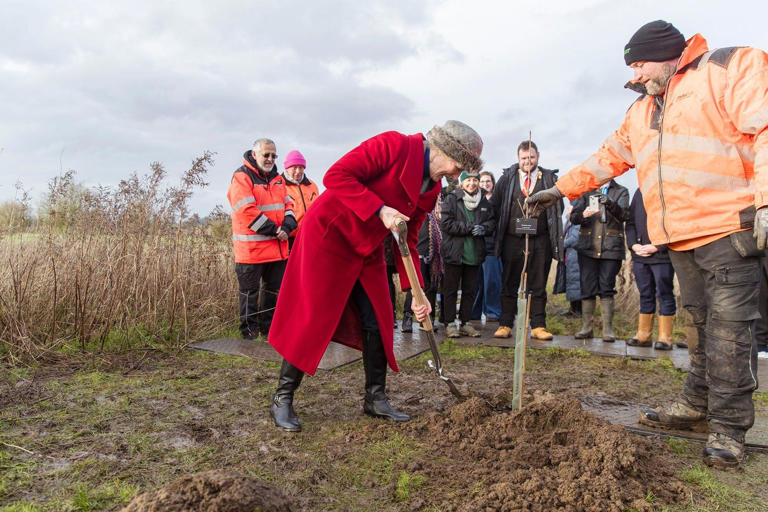 Tree of hope from Sycamore Gap planted in Milton Keynes