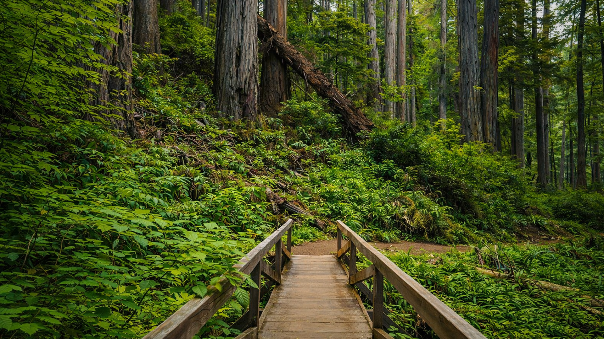 Jártál már a James Irvine-ösvényen?
