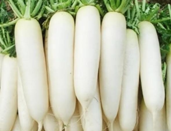 Củ cải trắng có nhiều tác dụng với người lao động làm ca đêm