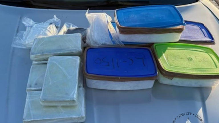 Driver arrested in large drug bust on Interstate 5