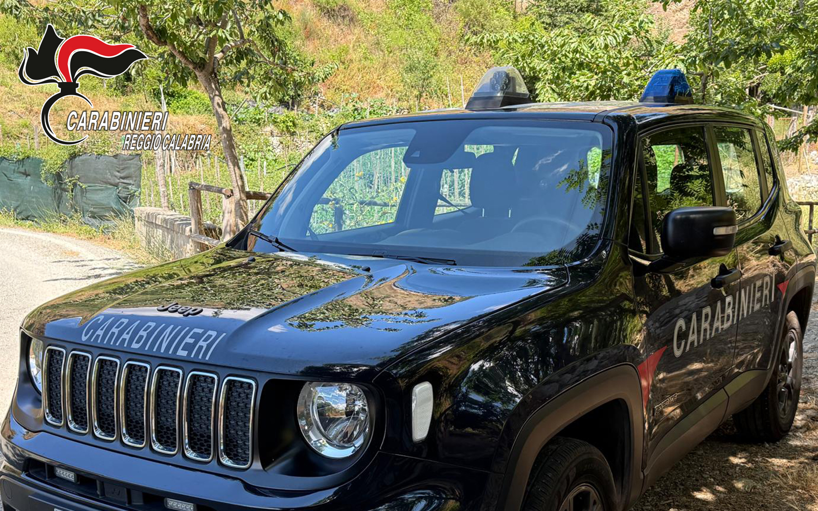 Gioia Tauro, insospettisce l’auto coperta di fango sulla Statale 18 ...